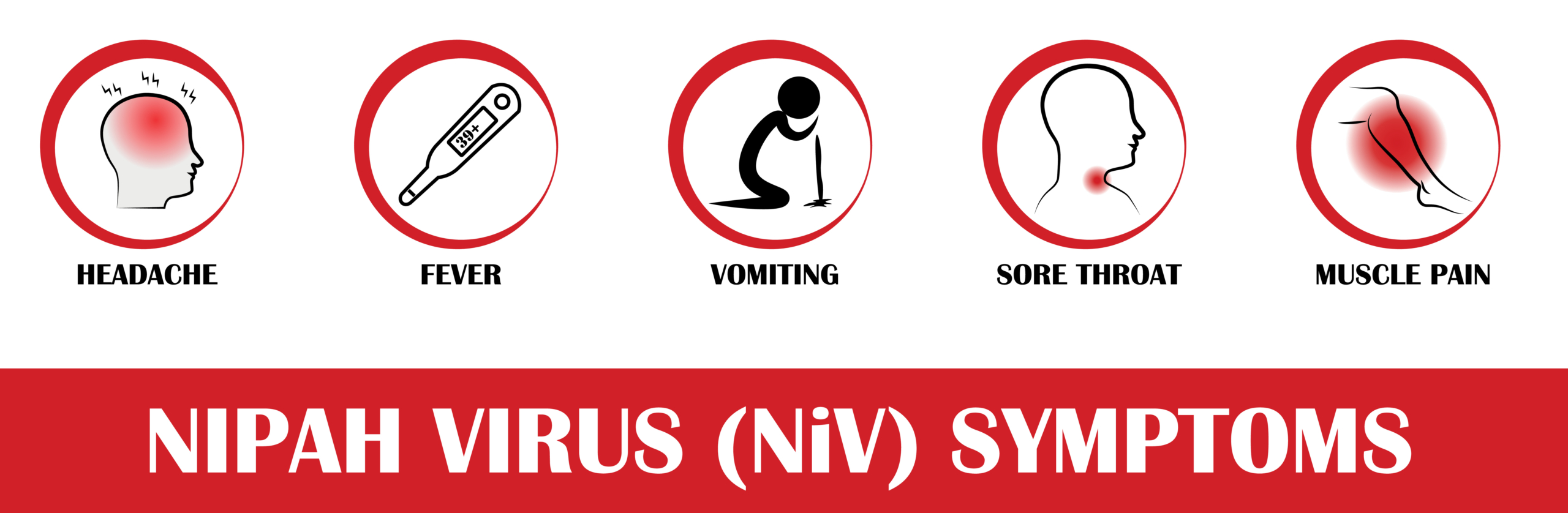 Nipah virus: transmission, outbreaks, and why WASH + IPC matter - Aquatabs